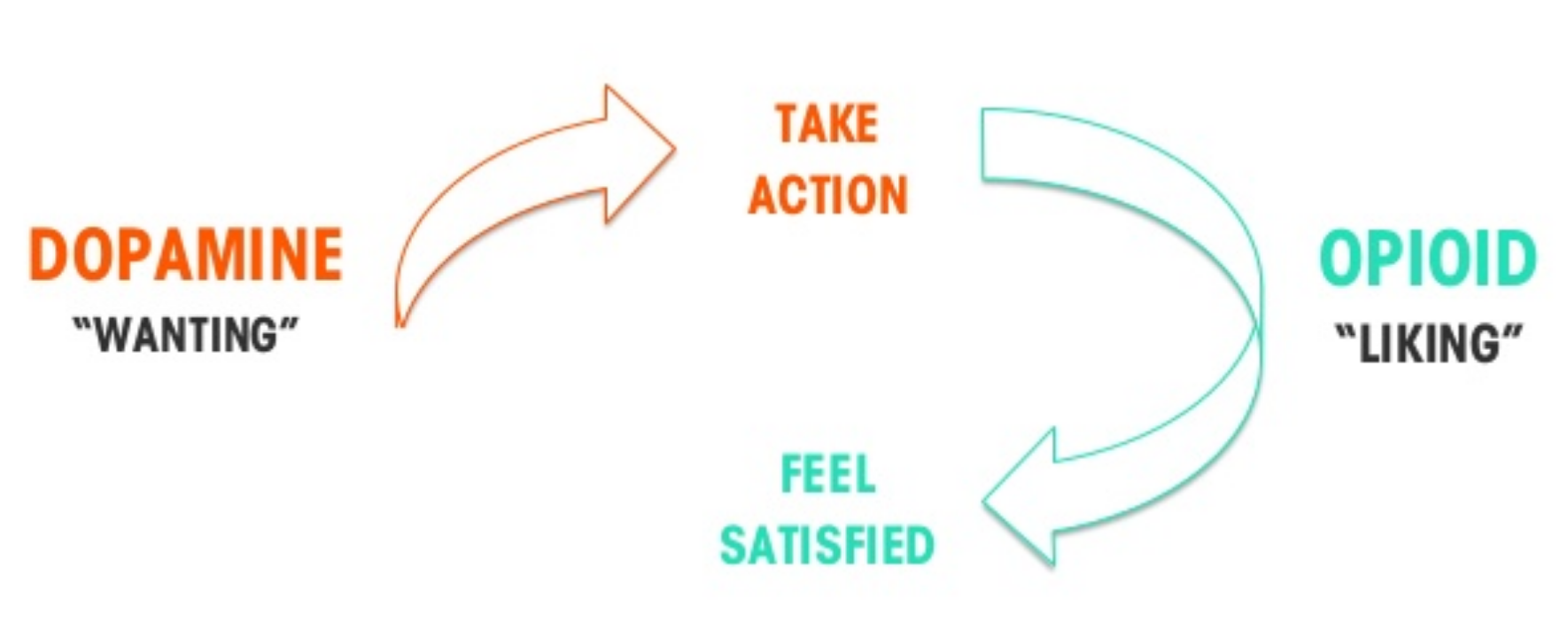 Wanting, Liking, Running – LT-Richrath